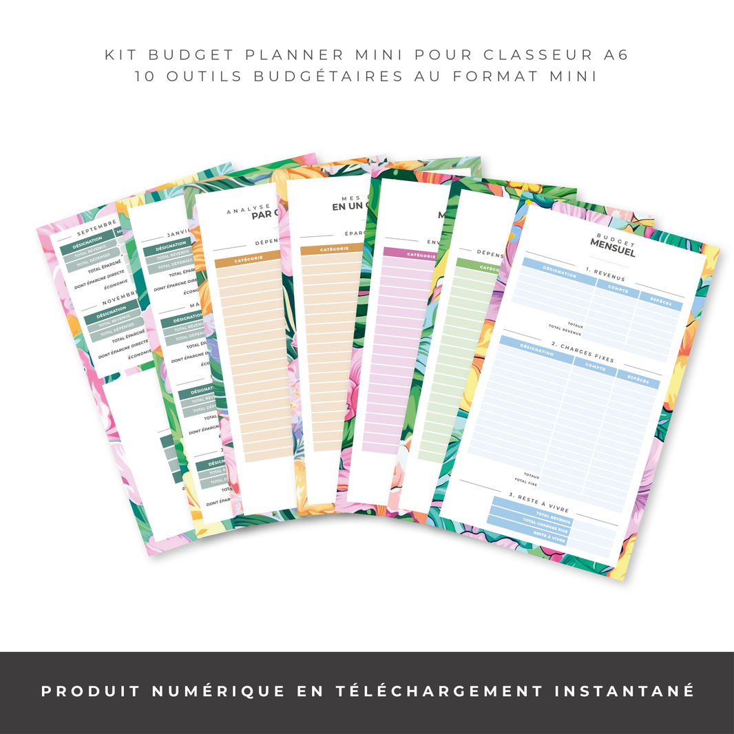 Budget Diary