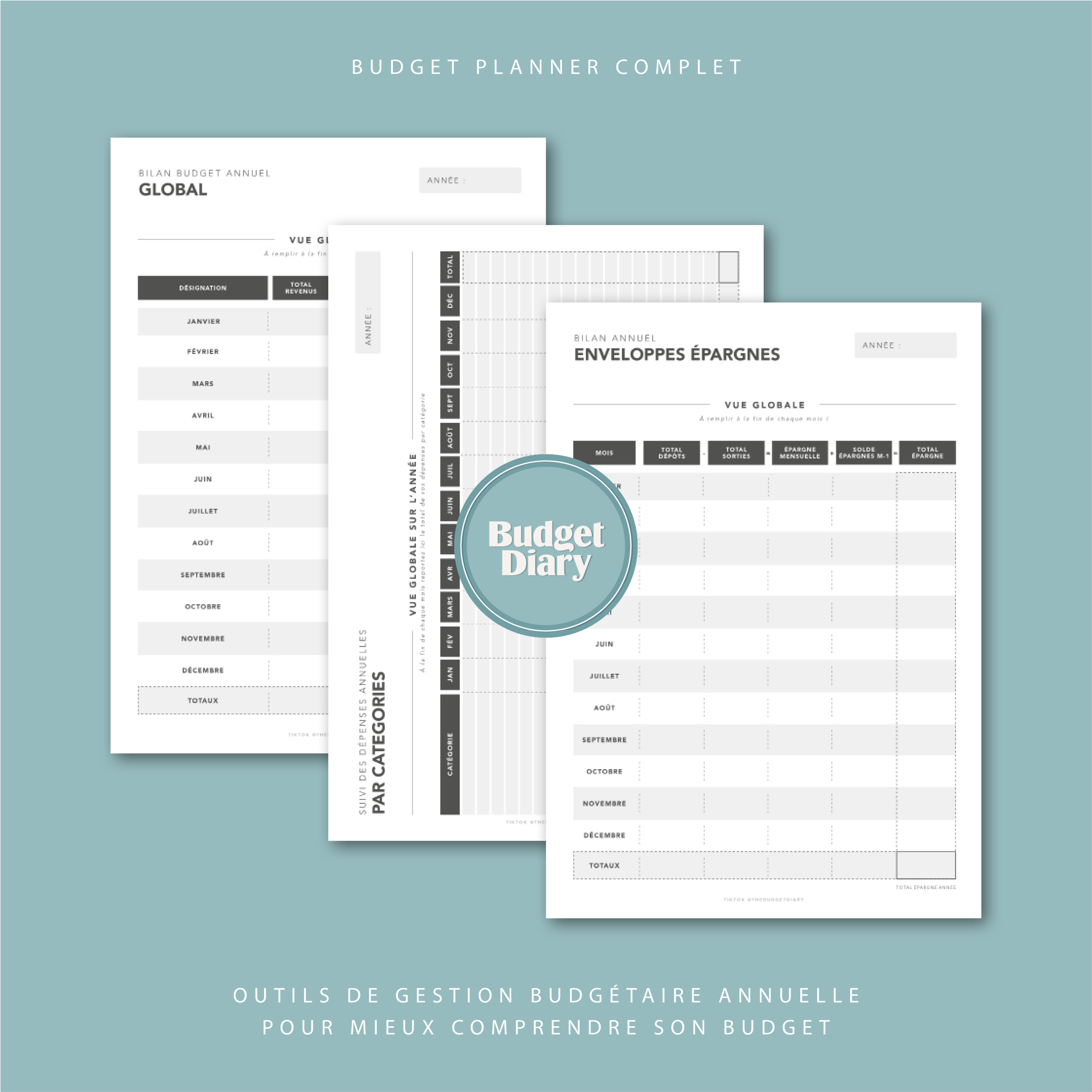 Planner Budget Annuel - Spécial Enveloppes Budget (digital) – Budget Diary