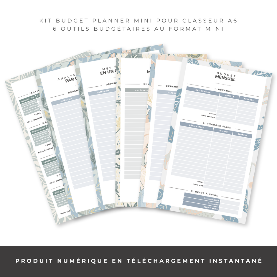 Budget planners – Budget Diary