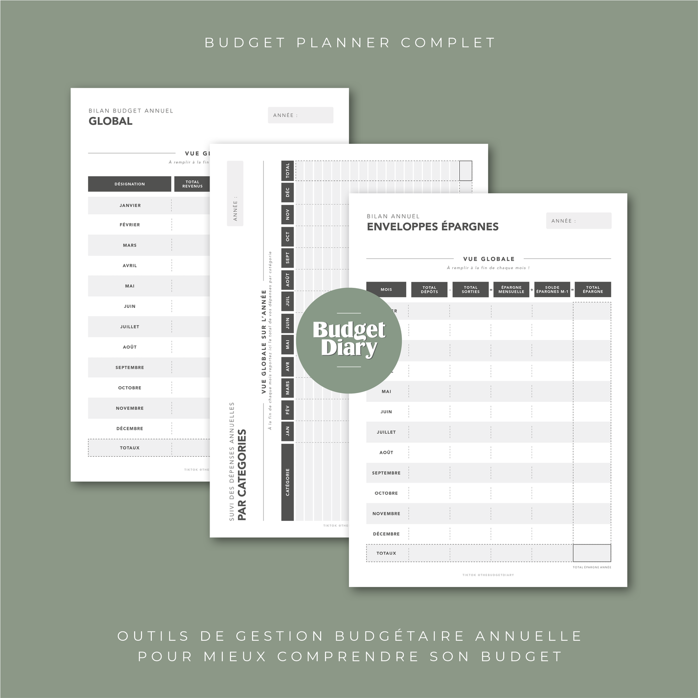 Planner Budget Annuel - Spécial Enveloppes Budget (digital) – Budget Diary